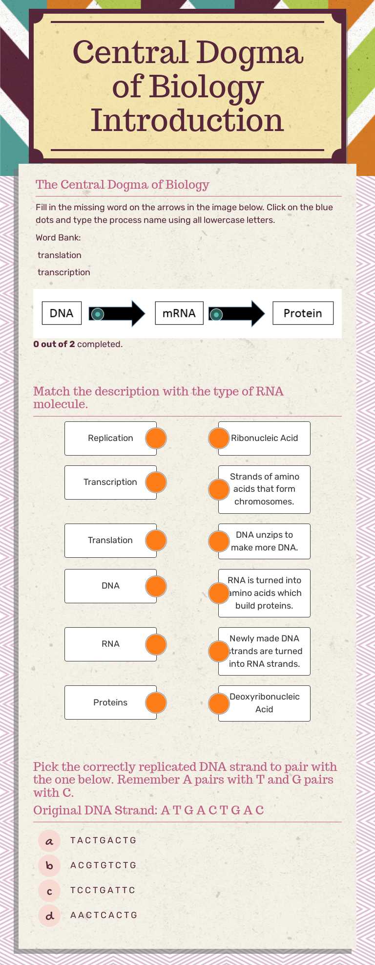 Master the Central Dogma of Biology! Practice DNA, RNA, and protein ...