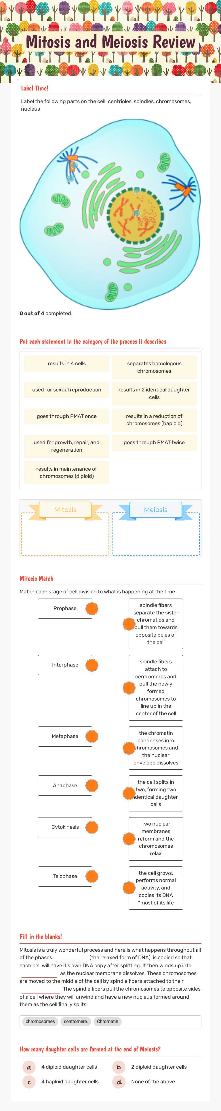 Master mitosis & meiosis! Biology worksheet covers cell division ...