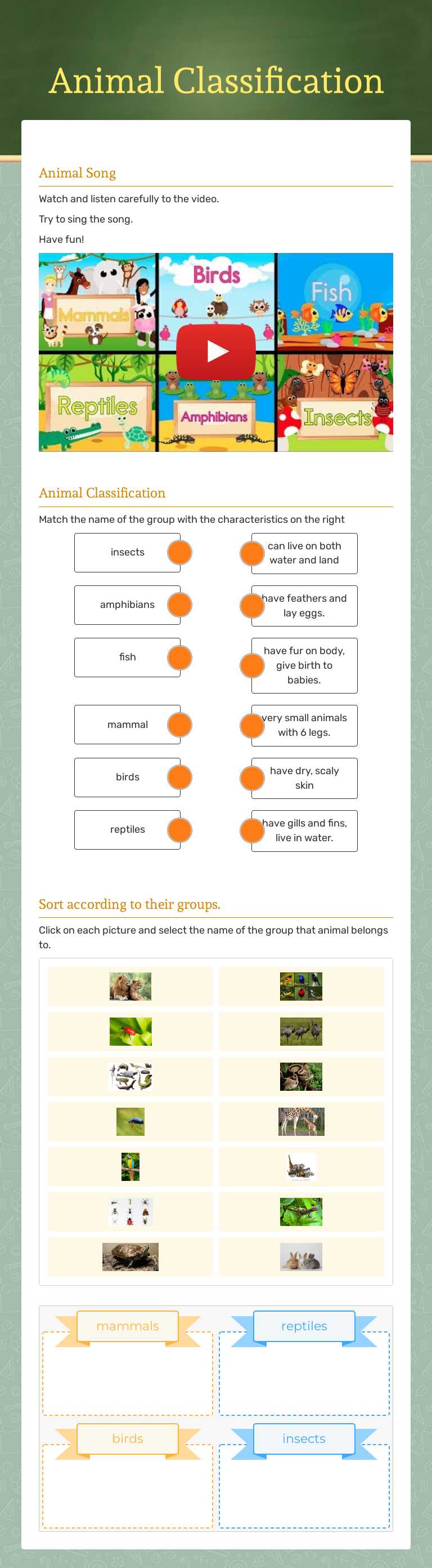 Animal Classification by Nazia Batool | Interactive Worksheet | Wizer.me