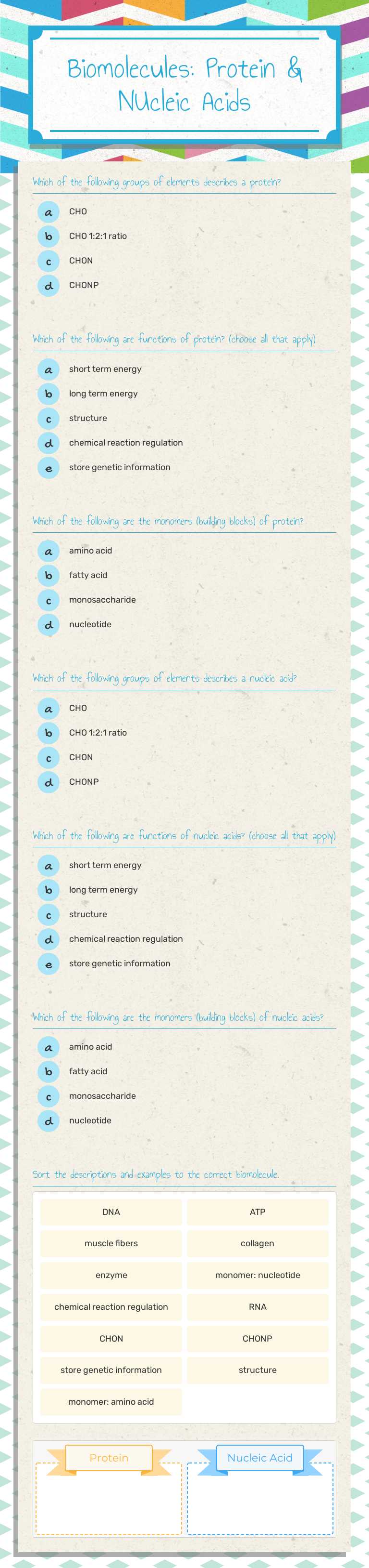 Unlock the secrets of life's building blocks: proteins and nucleic ...