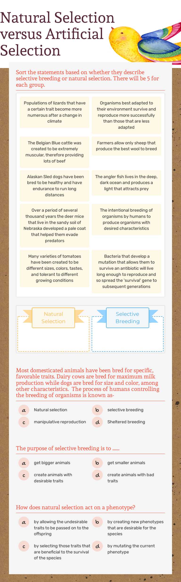 Natural Selection versus Artificial Selection by Kristin Howell ...