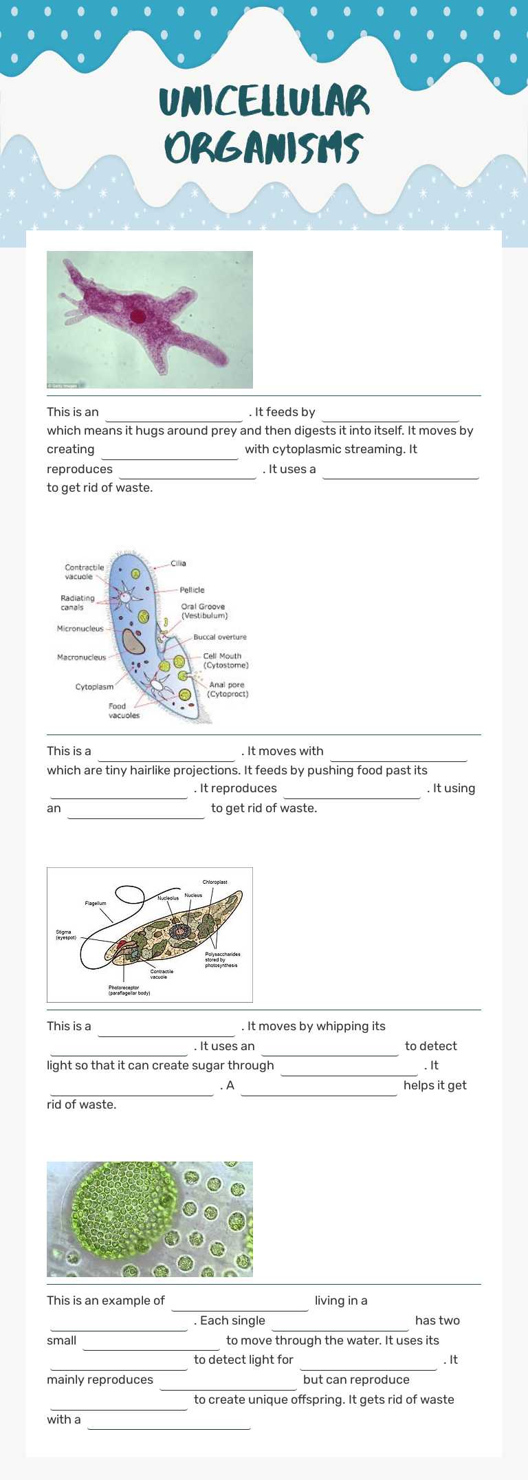Unicellular Organisms by Heather Peterson | Interactive Worksheet ...