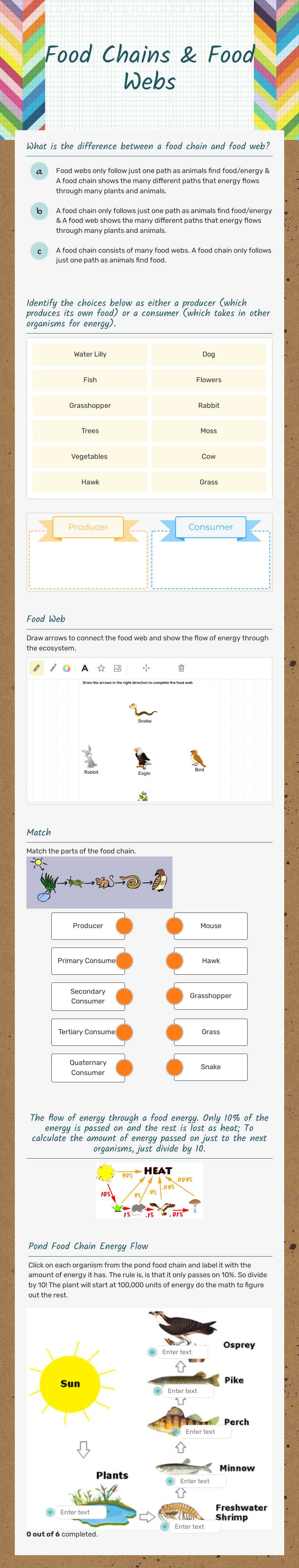 Discover food chains & webs! Learn about producers, consumers, and ...