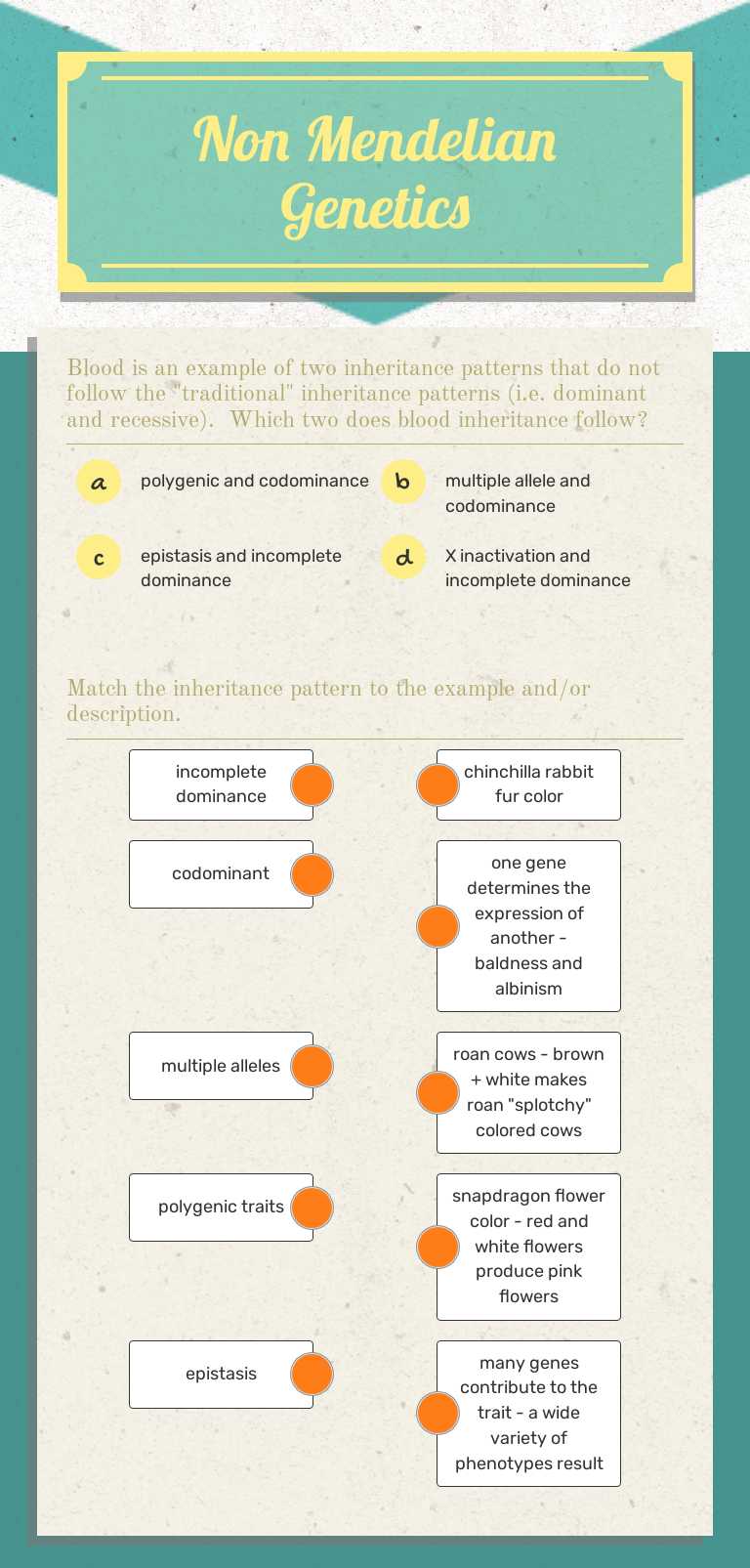 Non Mendelian Genetics by Rhashay Taylor | Interactive Worksheet | Wizer.me
