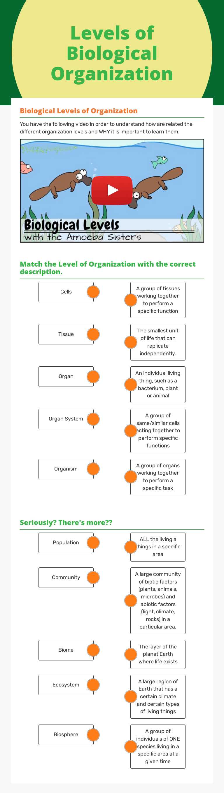 Levels of Biological Organization by Hazel Gultiano | Interactive ...