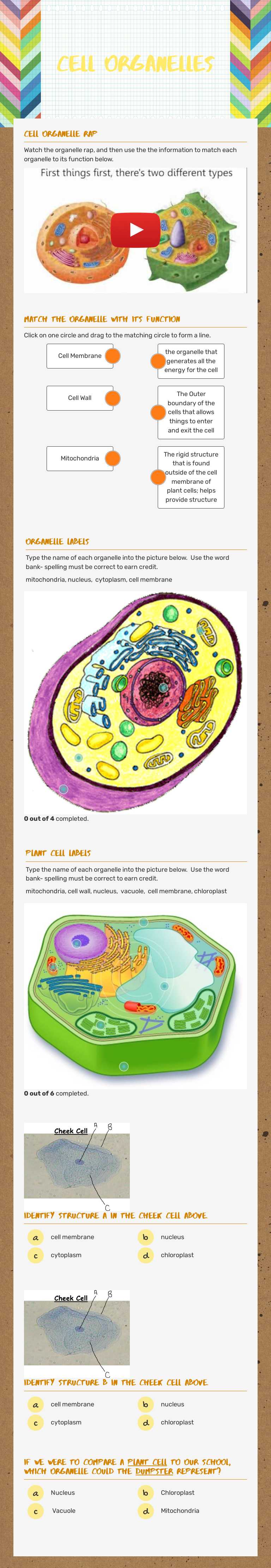 Master cell organelles! Match functions and label diagrams in this fun ...