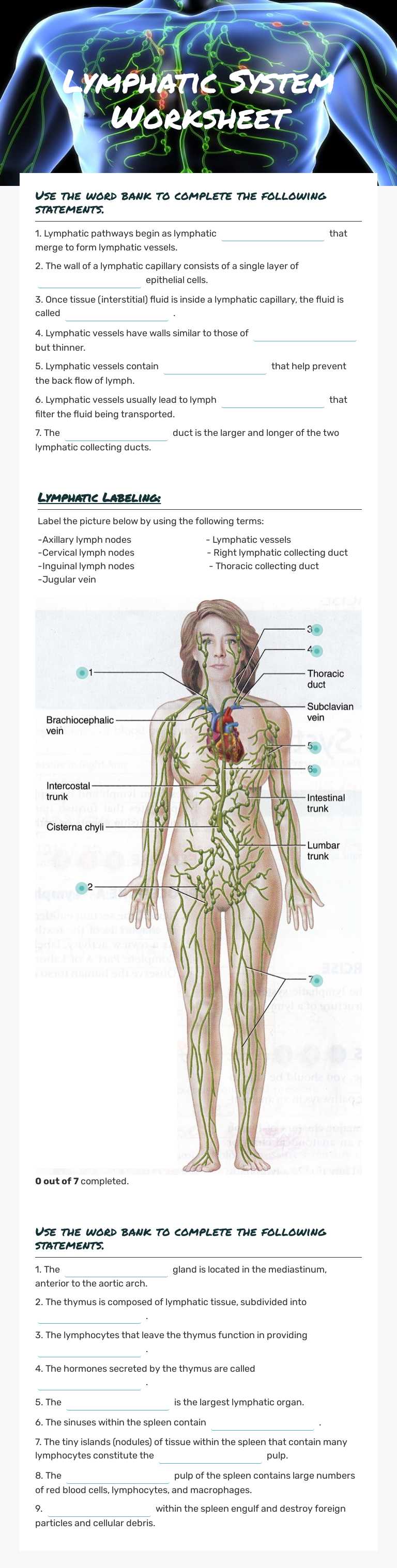 Lymphatic System Worksheet by Christina Dotson | Interactive Worksheet ...