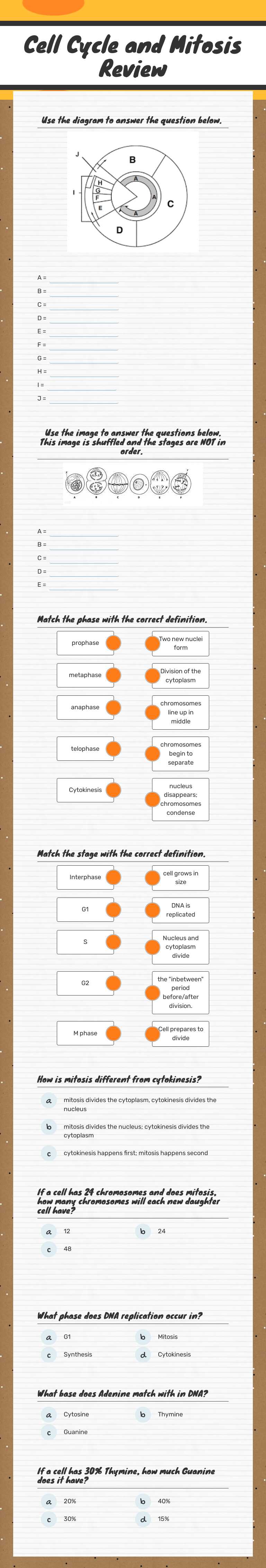 Cell Cycle and Mitosis Review by Victoria Duncan | Interactive ...