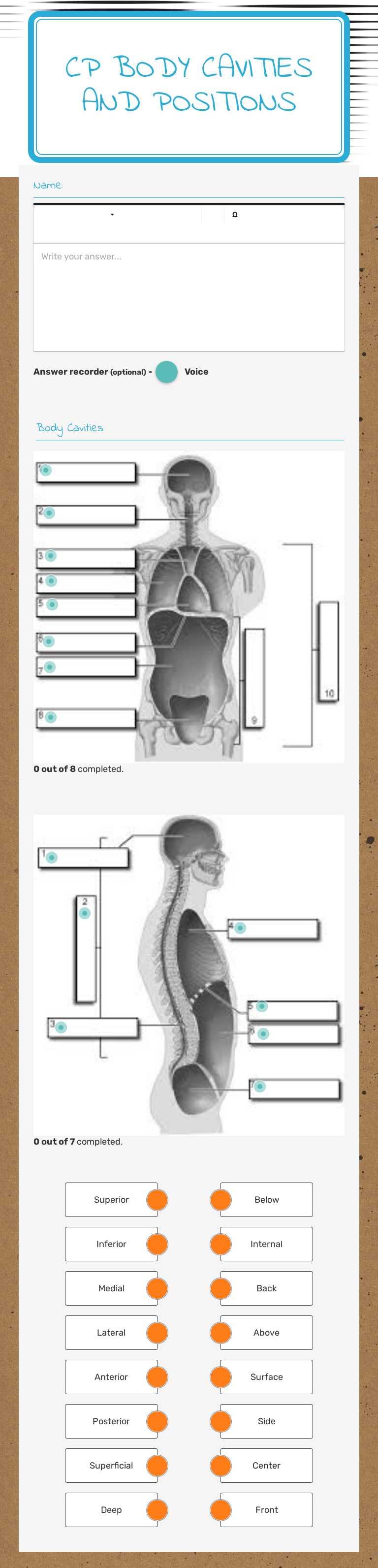 CP Body Cavities and positions by Heather Eighme | Interactive ...
