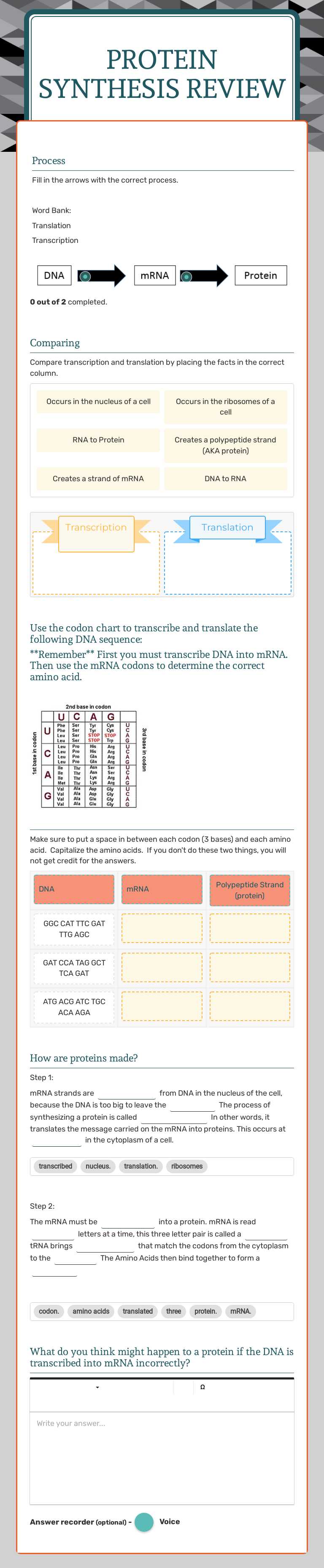 Protein Synthesis Review by Janelle Roberts | Interactive Worksheet ...