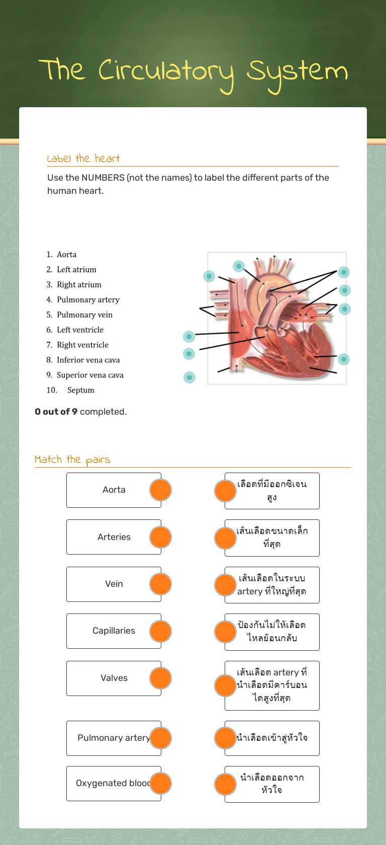 Learn the human heart! Label its parts and master circulatory system ...