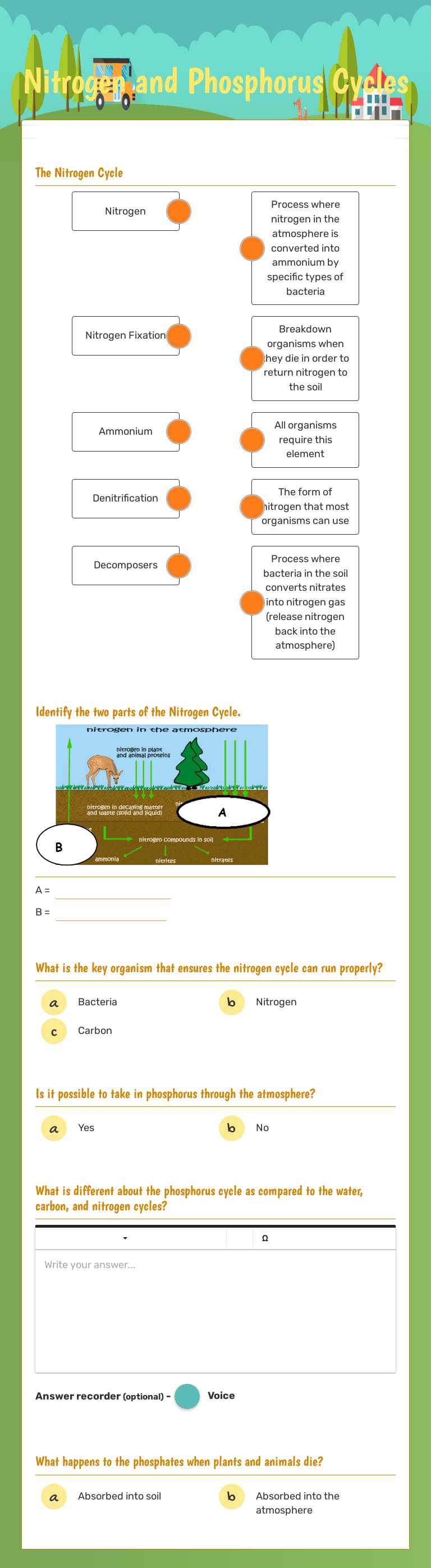 Nitrogen and Phosphorus Cycles by Amelia McCalla | Interactive ...