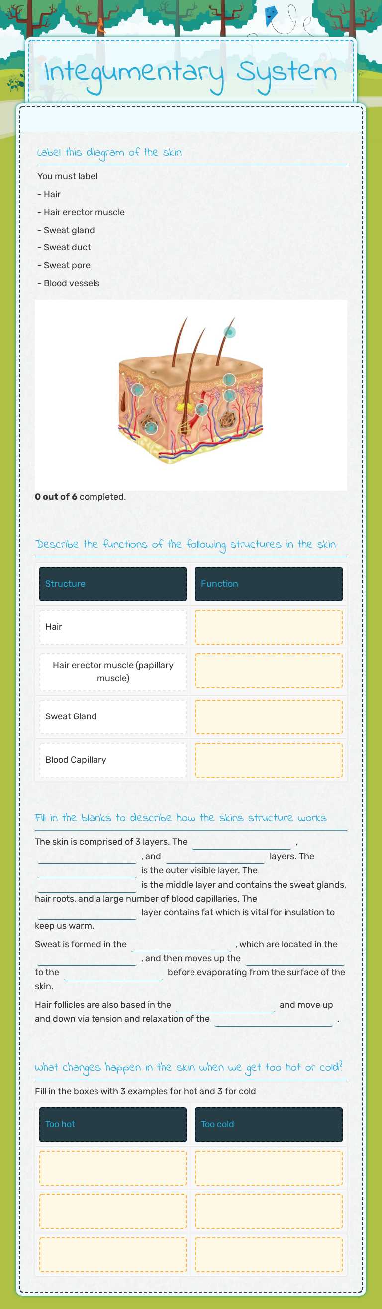 Learn about the integumentary system! Label skin diagrams and ...