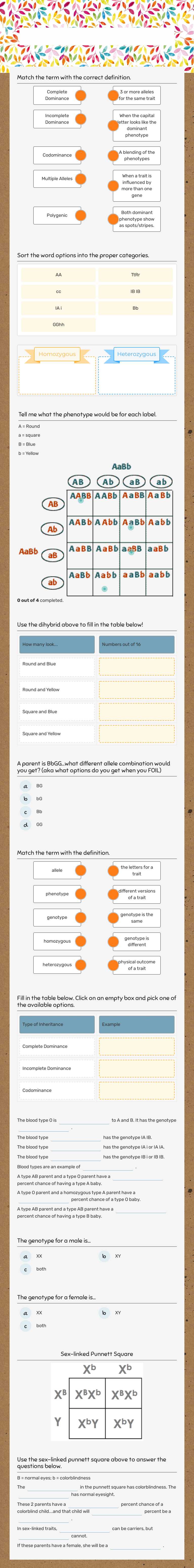 Master Punnett squares with this genetics review worksheet! | Punnett ...
