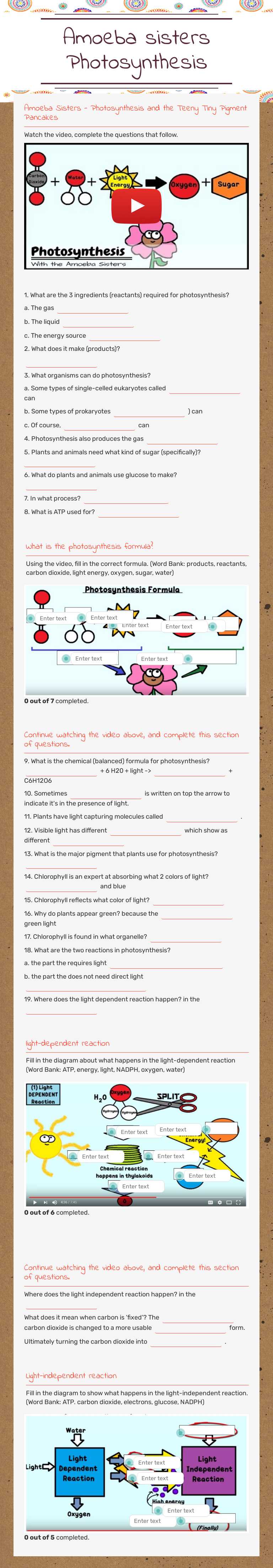 Amoeba sisters Photosynthesis by Kelly Babb | Interactive Worksheet ...