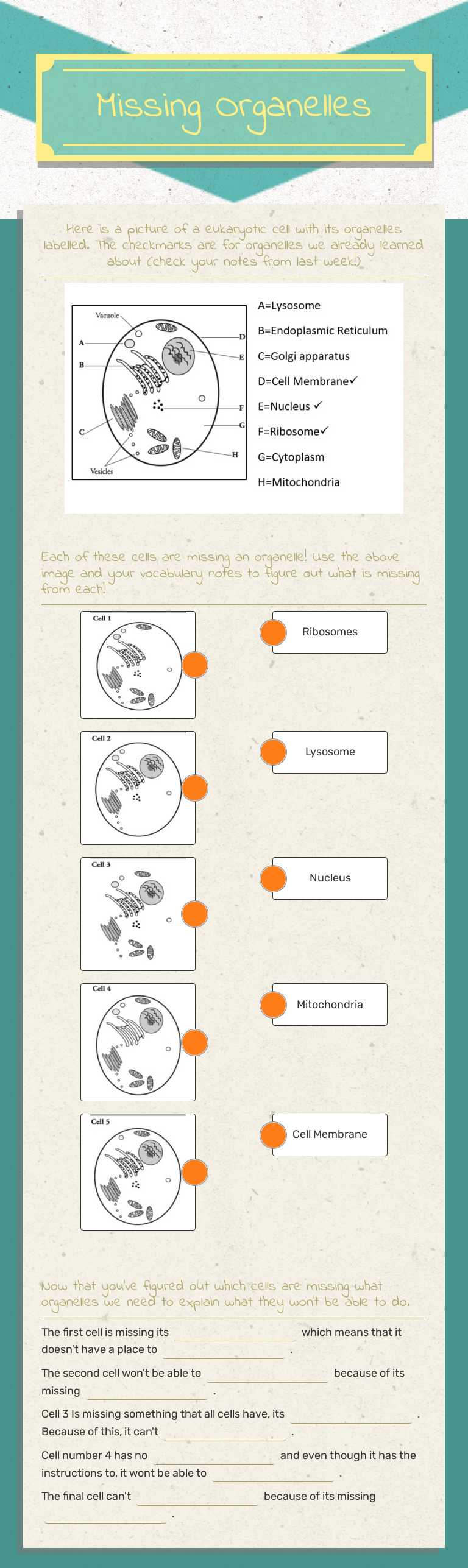 Identify missing cell organelles and their impact on cell function in ...