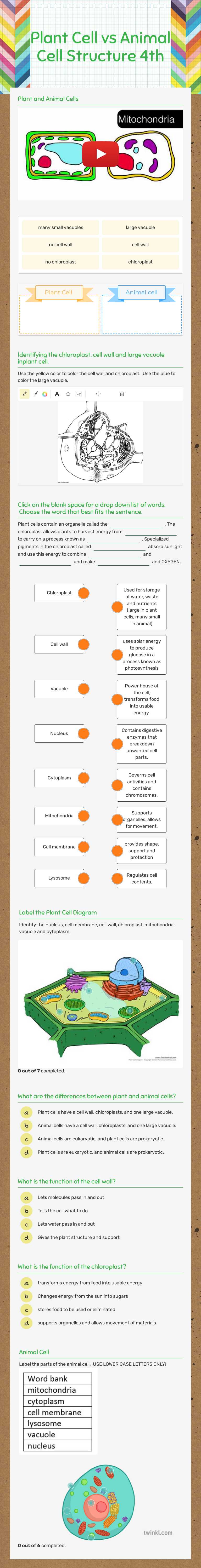 Plant Cell vs Animal Cell Structure 4th by Mays, J | Interactive ...