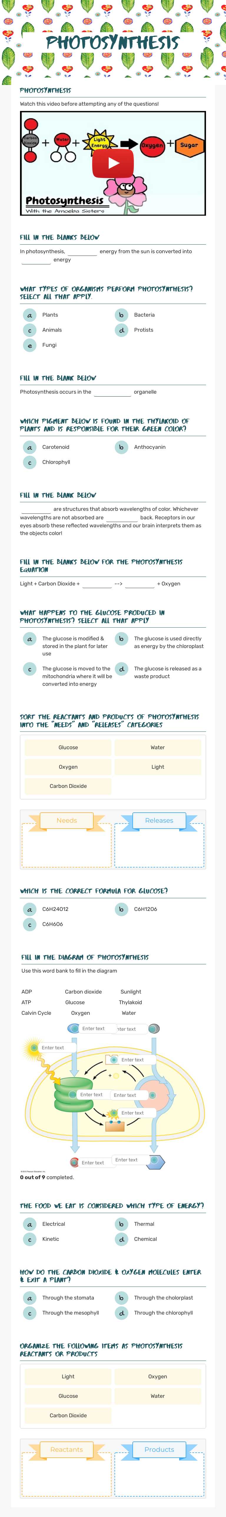 Photosynthesis by Katherine Tarrants | Interactive Worksheet | Wizer.me