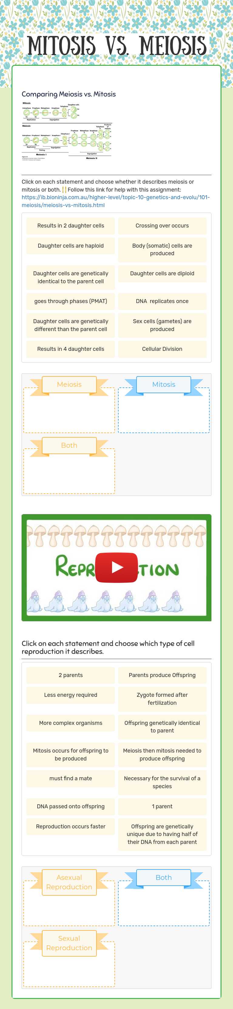 Mitosis vs. Meiosis by Crystal Winner | Interactive Worksheet | Wizer.me
