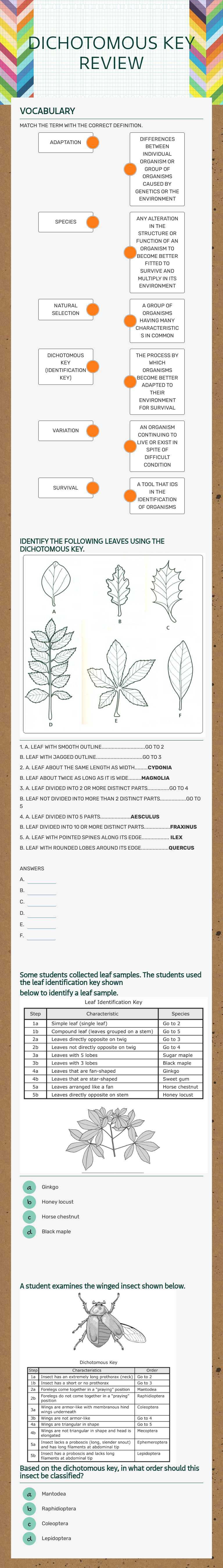 DICHOTOMOUS KEY REVIEW by Jeannette Jones | Interactive Worksheet ...