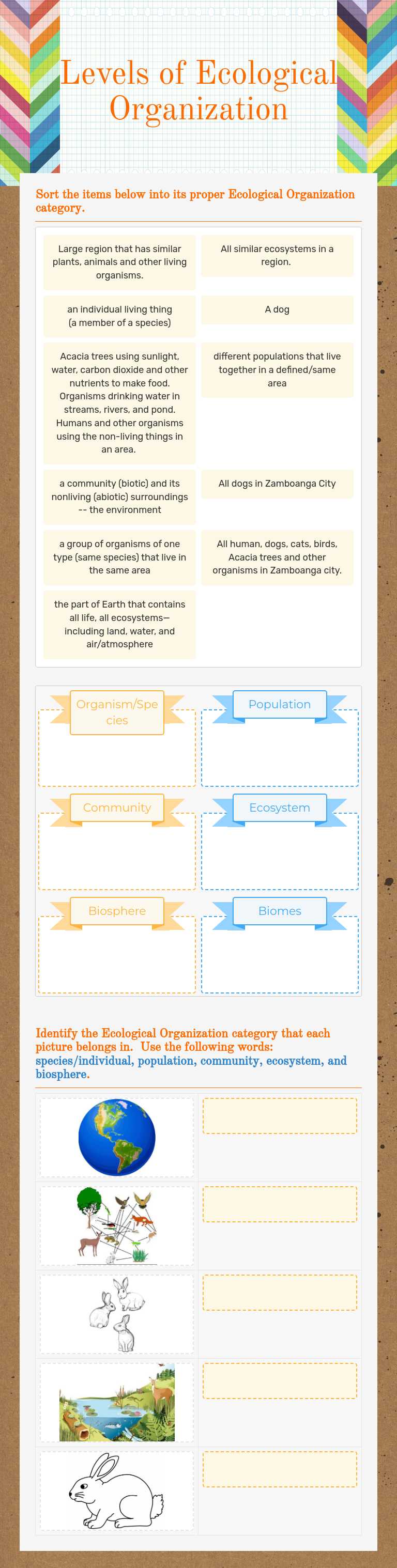 Levels of Ecological Organization by Hazel Gultiano | Interactive ...