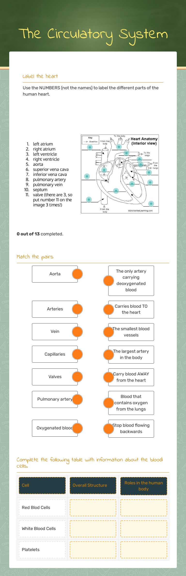 The Circulatory System by María Eugenia Corrarello | Interactive ...