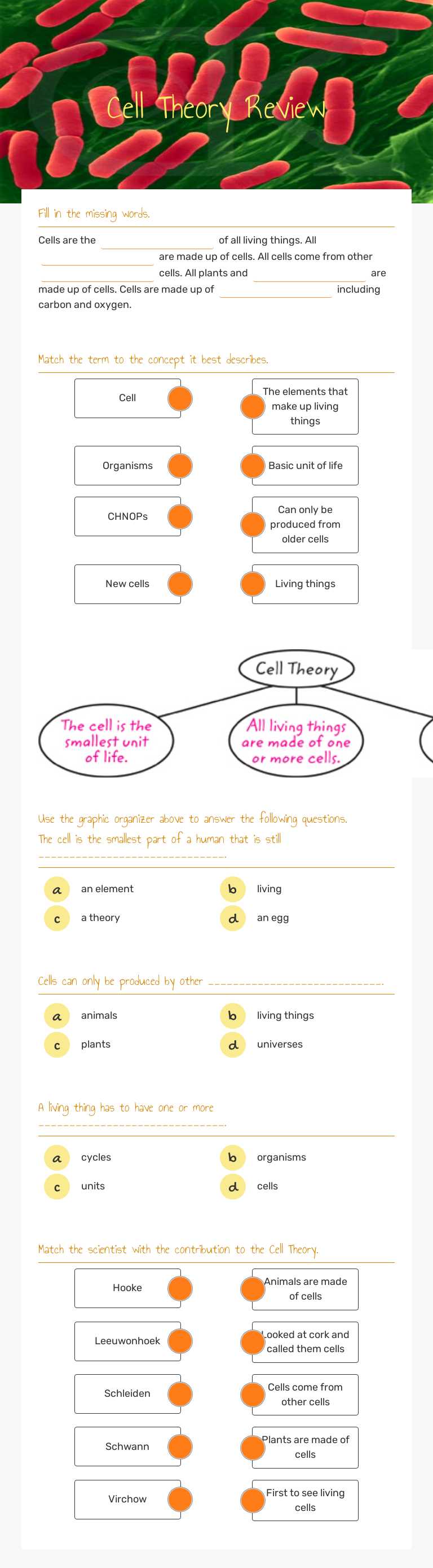 Cell Theory Review by Melanie Schoonmaker | Interactive Worksheet ...