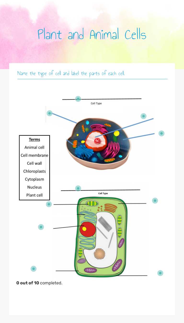 Label plant and animal cell diagrams! Free worksheet for kids. | Plant ...