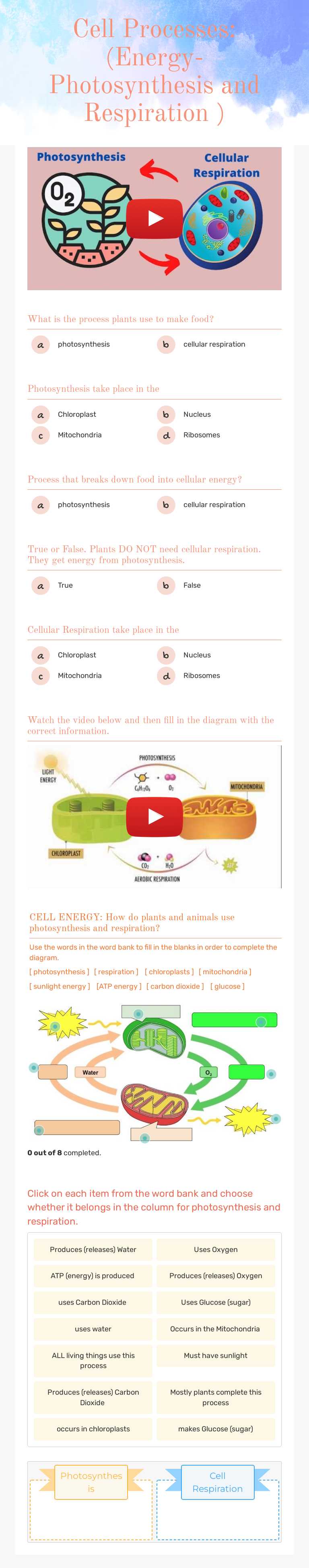 Cell Processes: (Energy-Photosynthesis and Respiration ) by Patrick ...