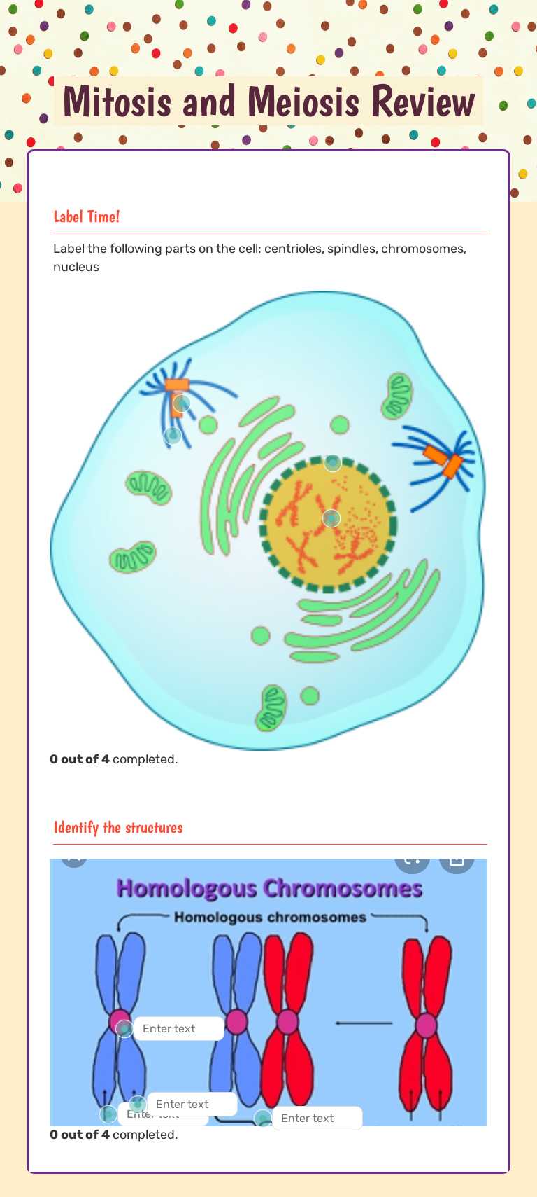 Mitosis and Meiosis Review by Latarsha Walton | Interactive Worksheet ...