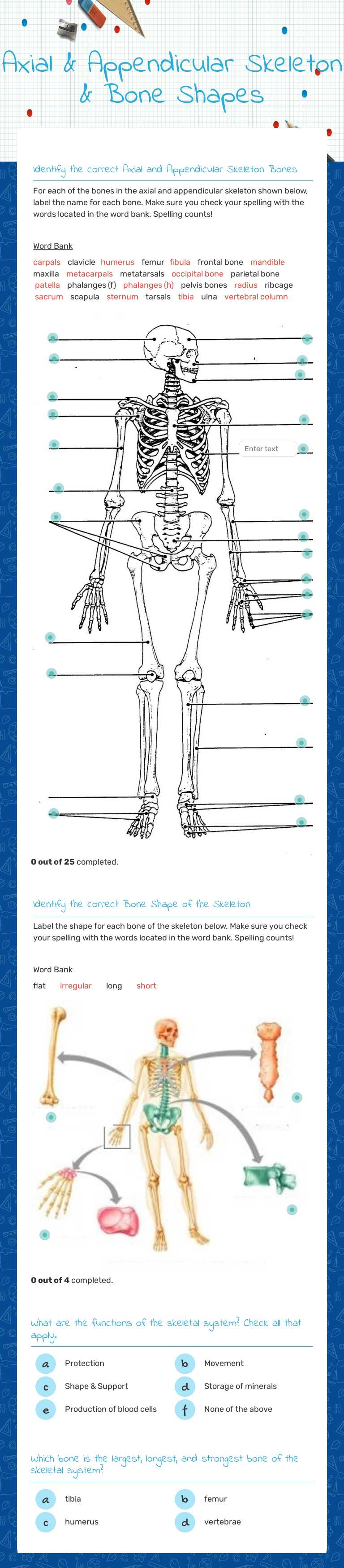 Explore the human skeletal system! Label axial and appendicular bones ...