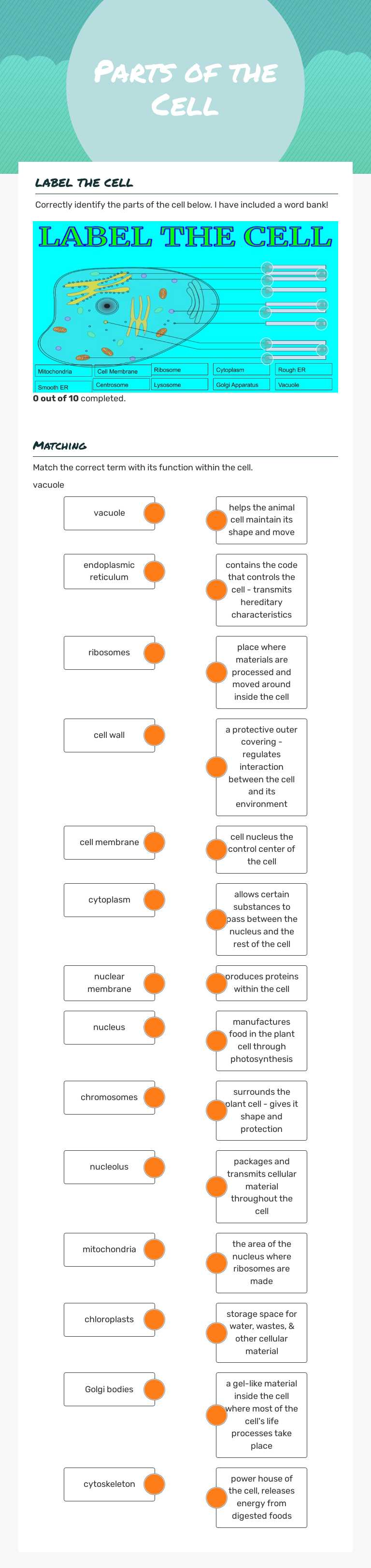 Parts of the Cell by George Masten | Interactive Worksheet | Wizer.me