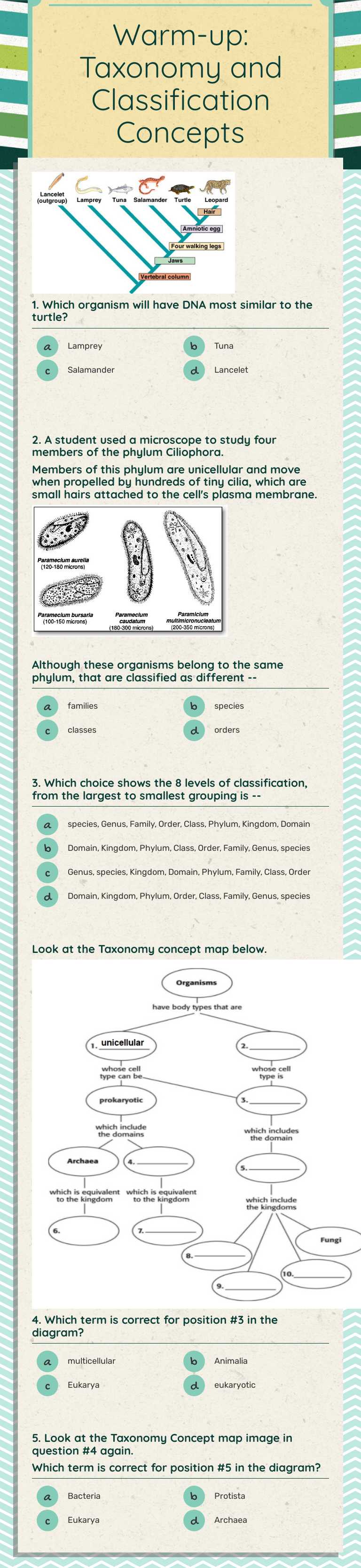 Master biological classification! Practice taxonomy levels, DNA ...