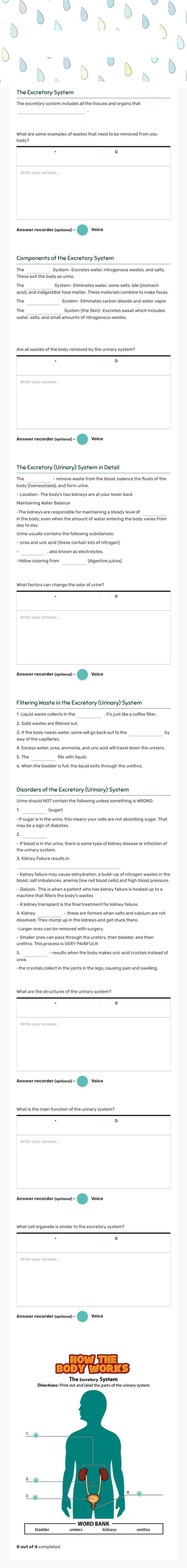 Learn how your body removes waste! Our Excretory System worksheet ...