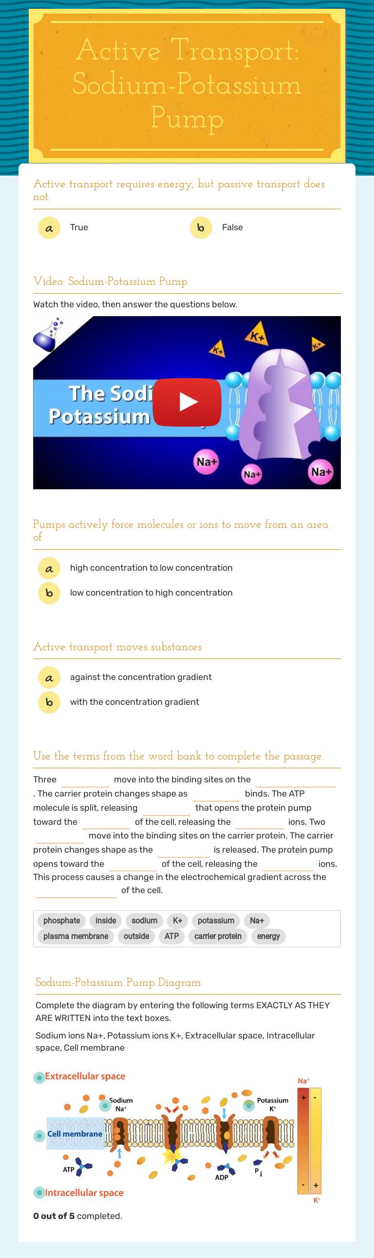 Active Transport: Sodium-Potassium Pump by Alyssa Ryan | Interactive ...