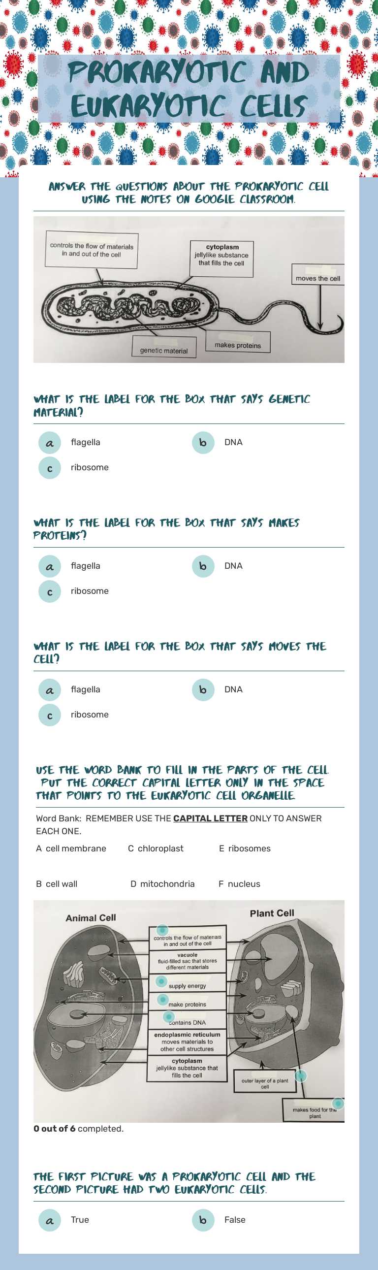 Prokaryotic and Eukaryotic Cells by julie dunford | Interactive ...