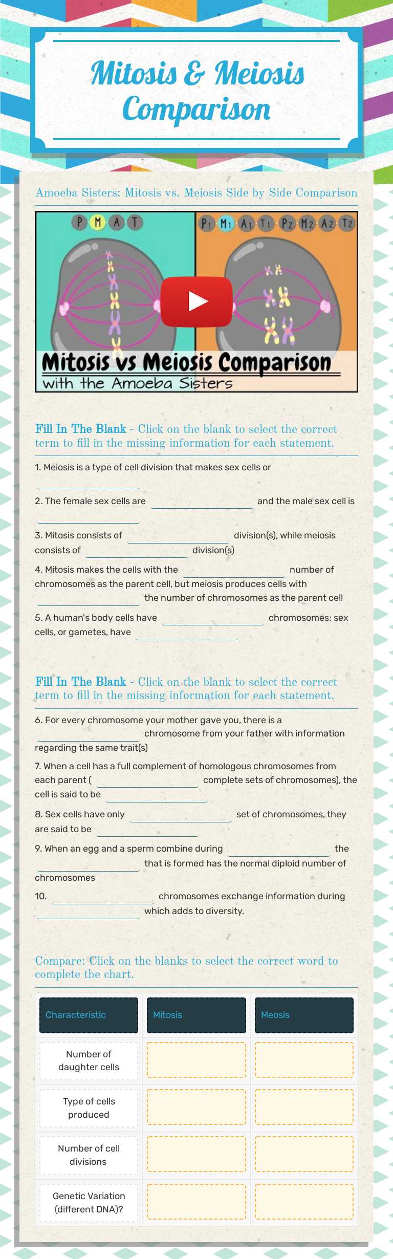 Mitosis Meiosis Comparison Worksheet Comparison Comparing Mitosis And