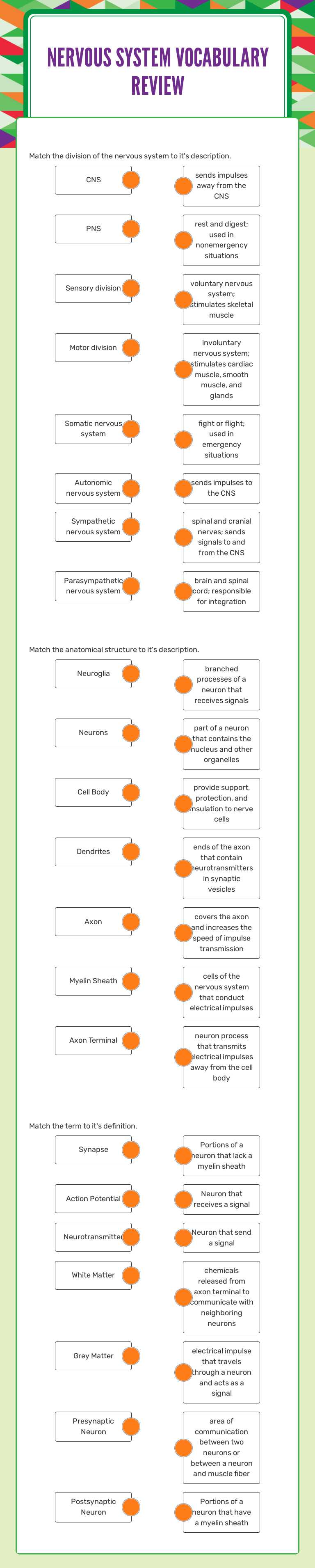 Nervous System Vocabulary Review by Dawn Egan | Interactive Worksheet ...