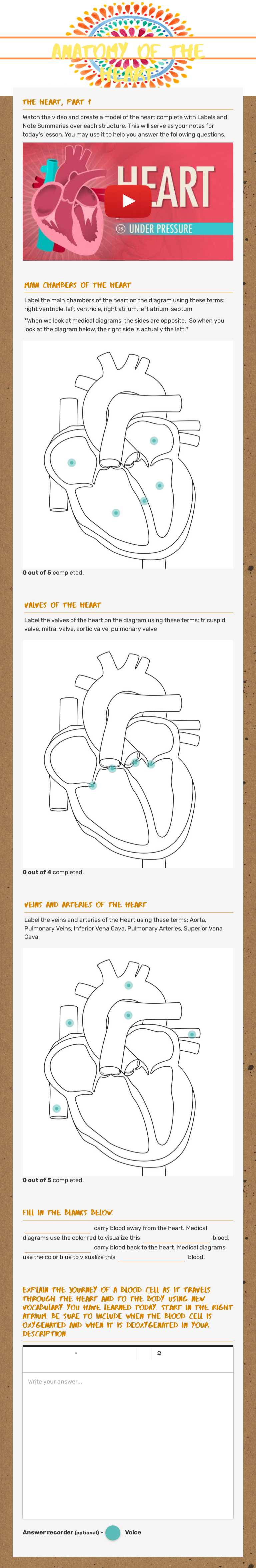 Anatomy of the heart by Jennifer Cherry | Interactive Worksheet | Wizer.me