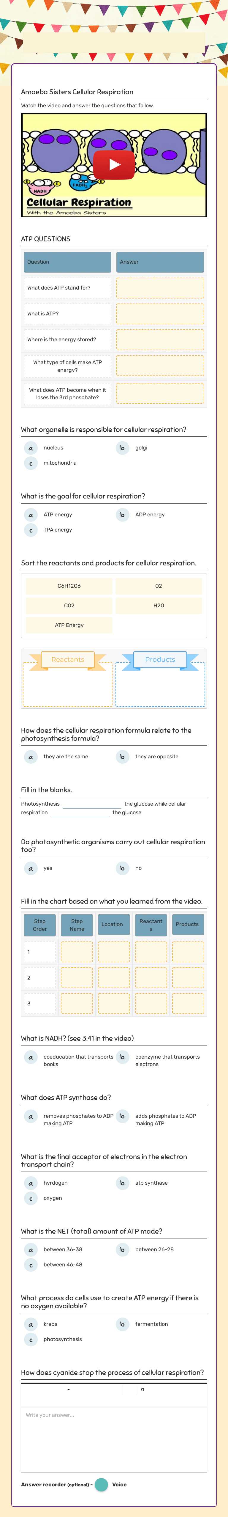 Amoeba Sisters Cell Respiration by Sidney Freeman | Interactive ...