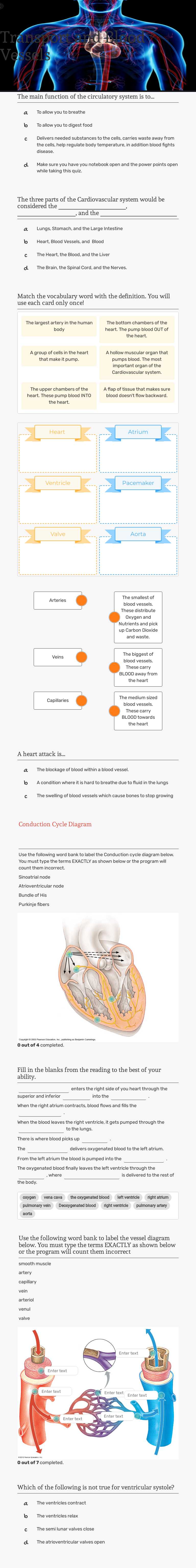 Transport and Blood Vessels by Gizem Goksel | Interactive Worksheet ...