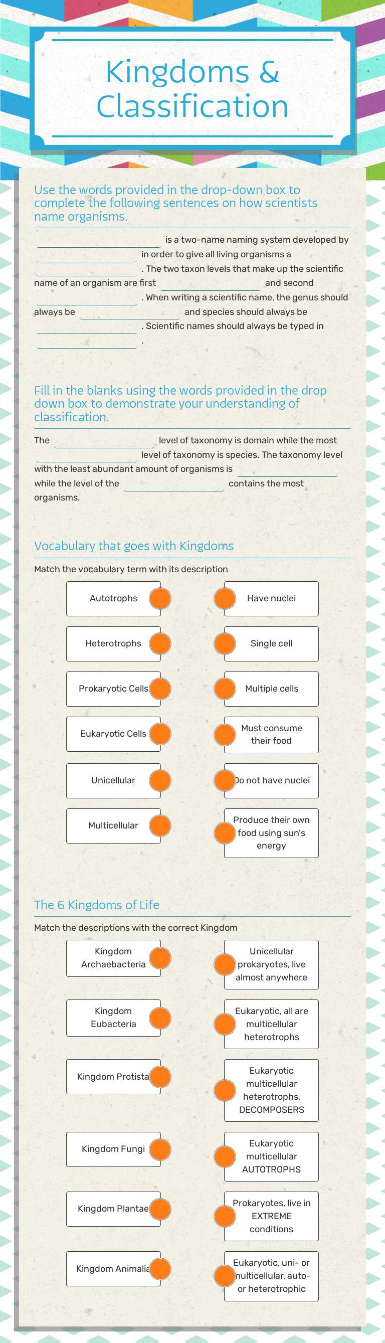 Kingdoms & Classification by Karen Burke | Interactive Worksheet | Wizer.me