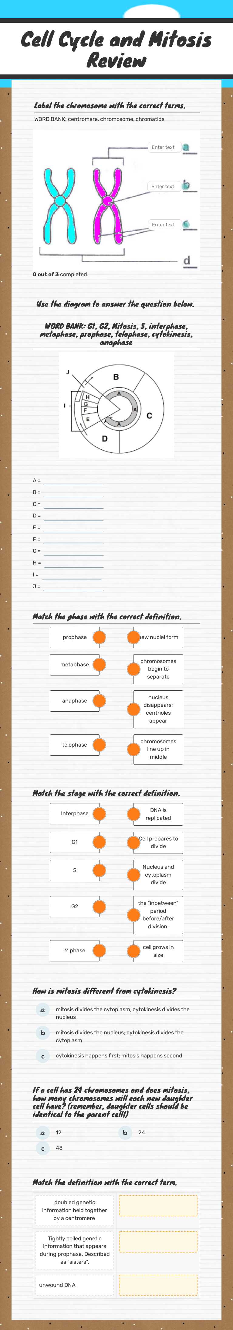 Cell Cycle and Mitosis Review by MICHELLE PAGE | Interactive Worksheet ...