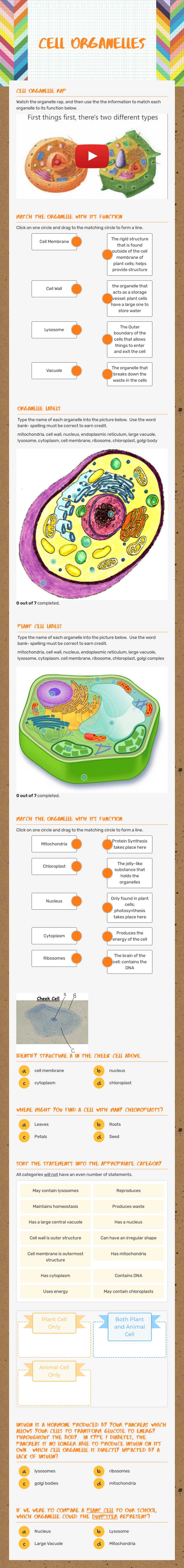 Master cell organelles! Label, match functions, and apply knowledge ...