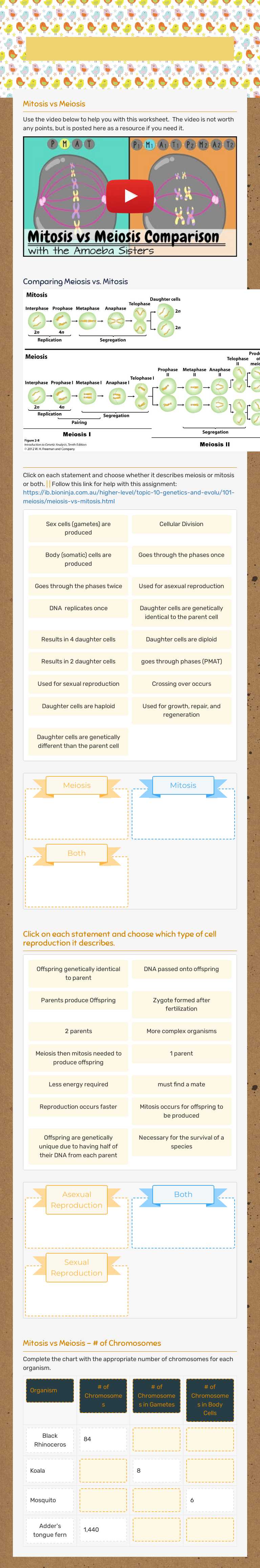 Mitosis vs. Meiosis by Michele Bushway | Interactive Worksheet | Wizer.me