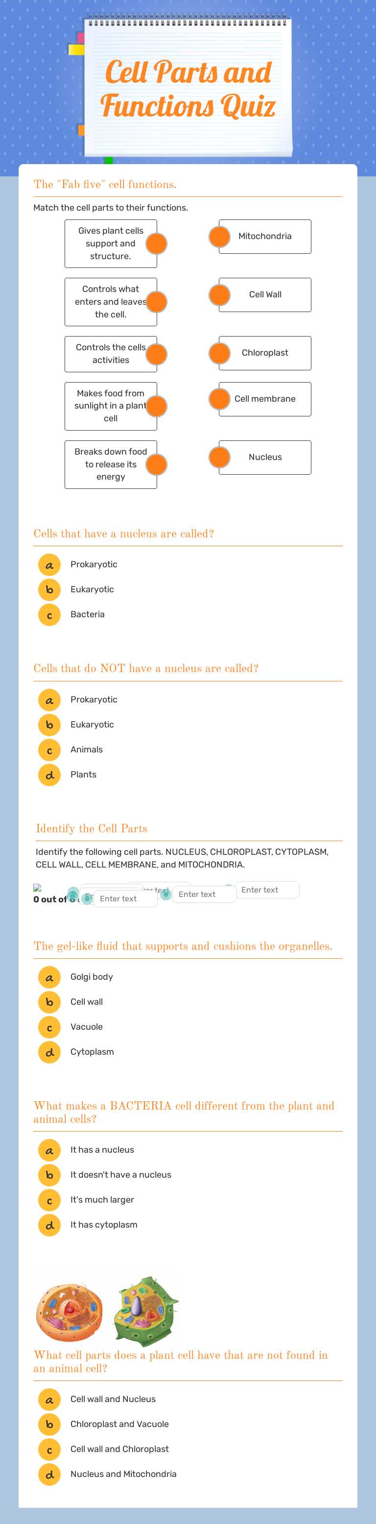 Cell Parts and Functions Quiz by Mary Jo Swift | Interactive Worksheet ...
