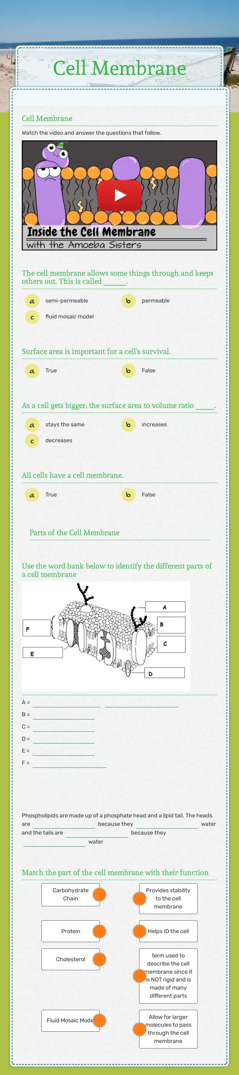 Explore the cell membrane: its semi-permeable nature and fluid mosaic ...