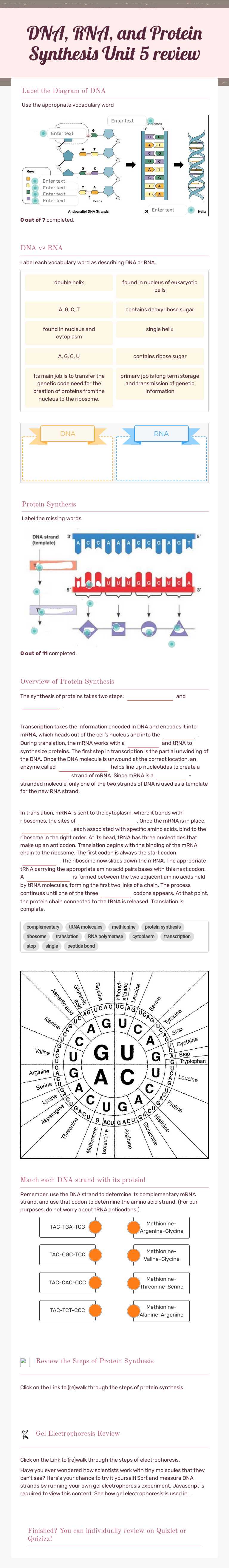 DNA, RNA, and Protein Synthesis Unit 5 review by Naina Dabas ...