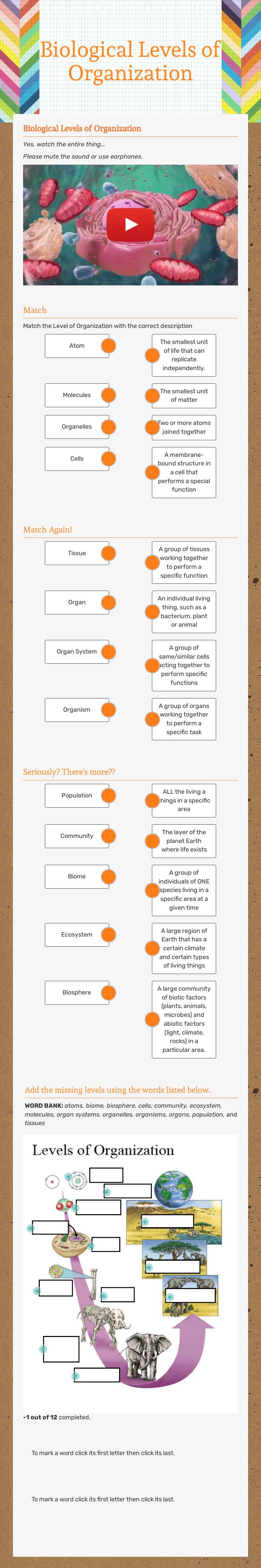 Biological Levels of Organization by Alicia Bailey | Interactive ...