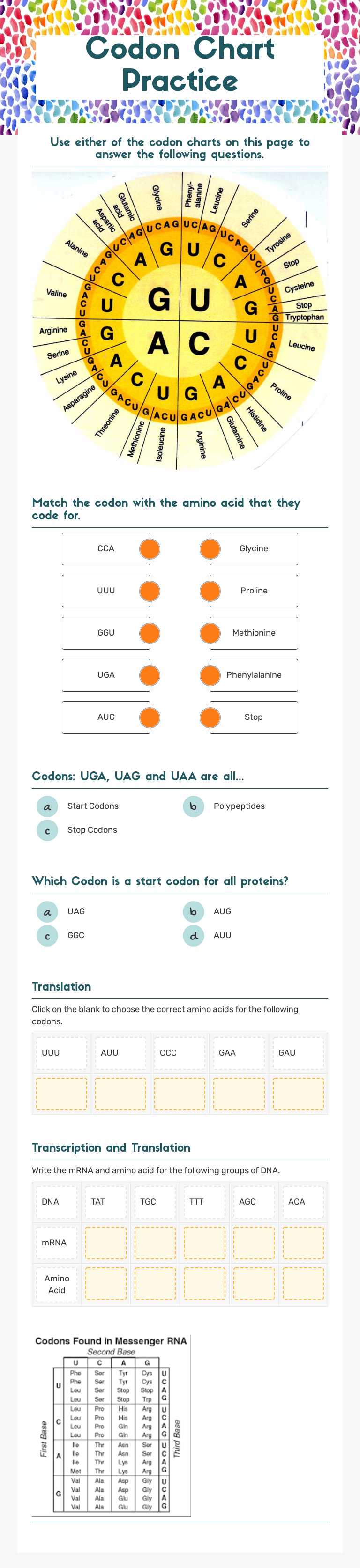 Codon Chart Practice by Ferdinand Estrella | Interactive Worksheet ...